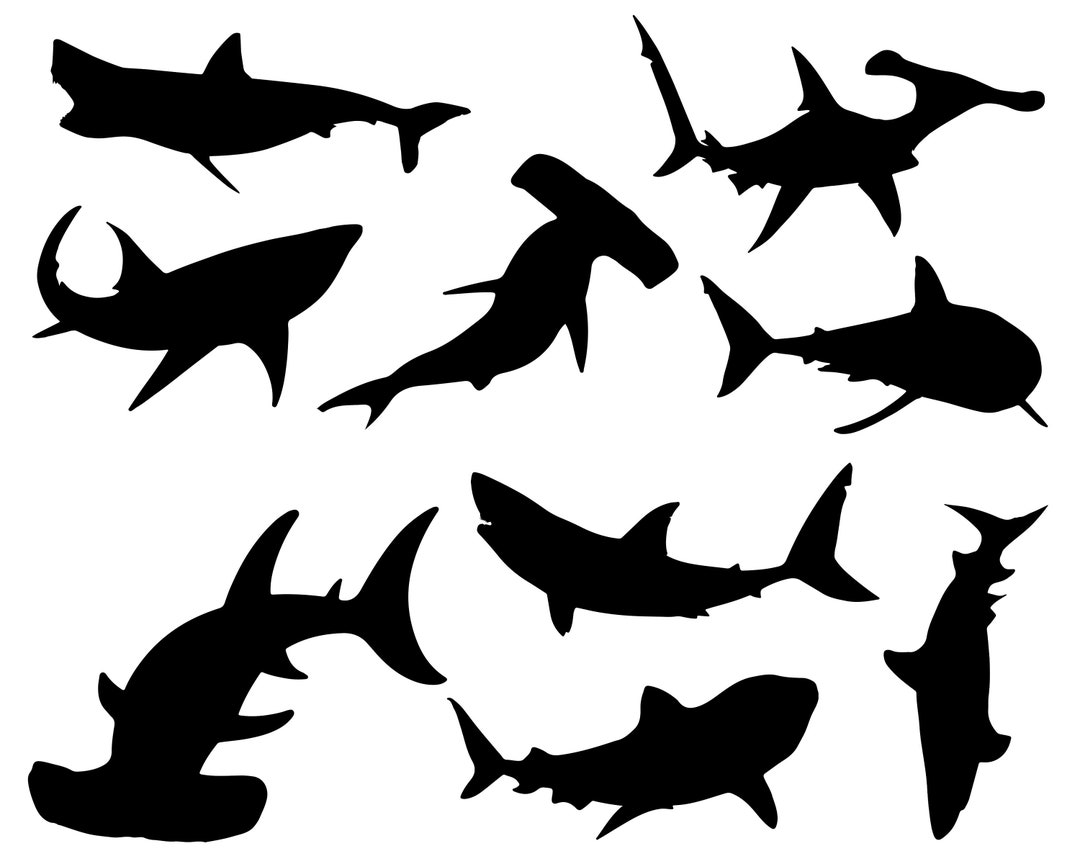 Shark SVG Bundle, PNG, Shark Silhouette, Clipart, Vector, Shark Cut ...