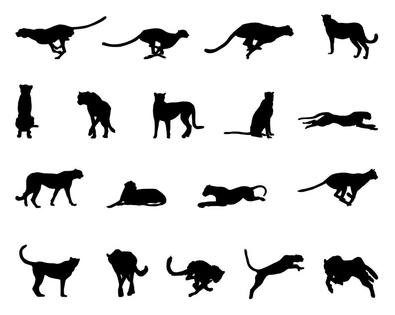 Cheetah SVG Bundle PNG Cheetah Silhouette Cut Files for - Etsy