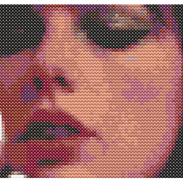 Taylor Swiftie Cross Stitch - Etsy