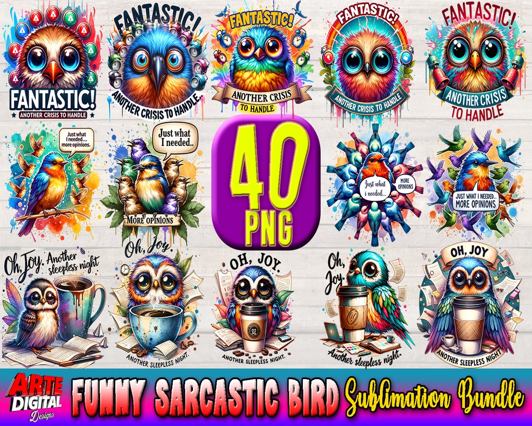 40 Funny Bird Clipart PNG, Quirky Bird Illustrations Whimsical Birds ...