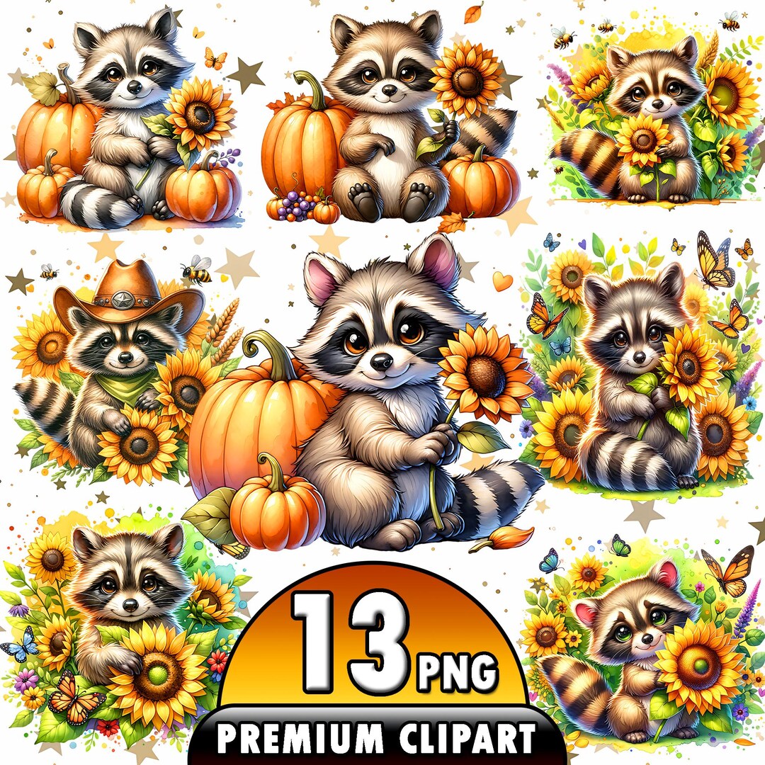 Racoon Fall Sunflowers and Pumpkins, Raccoonpng, Animated Raccoon Png ...