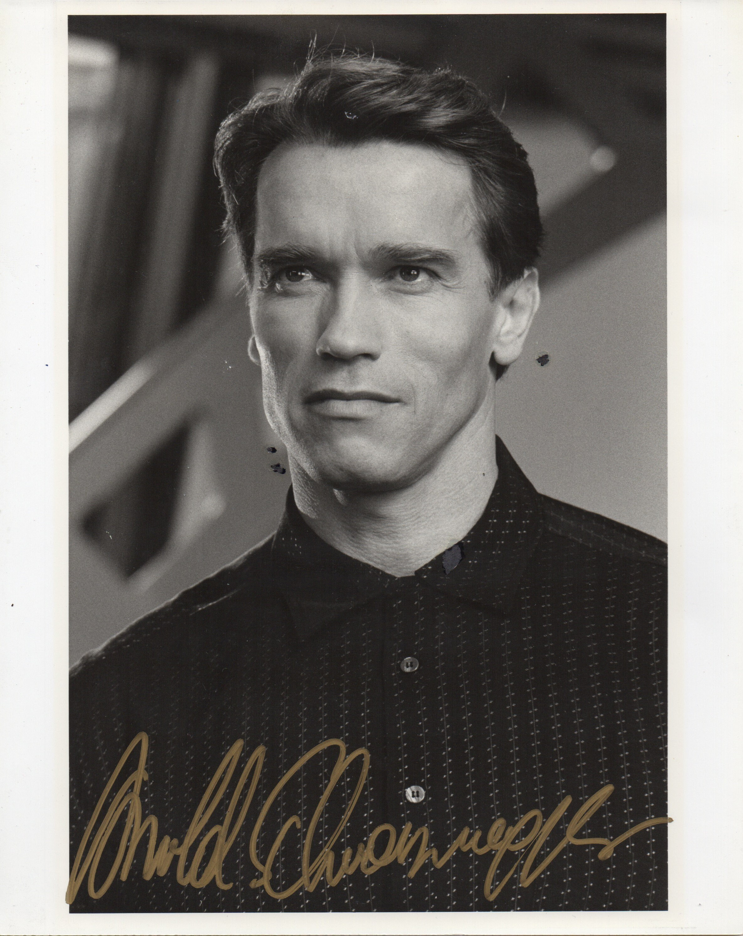 Arnold Schwarzenegger Autographed Photo 8 X 10 Signed - Etsy