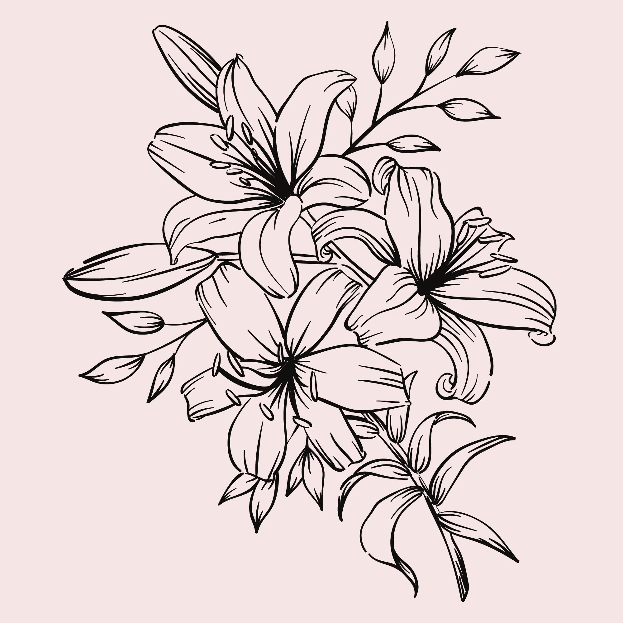 Flower Prints Bundle - Etsy