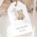 Bear Favour Tags Printable, Editable Birthday Tag, Teddy Bear Party ...