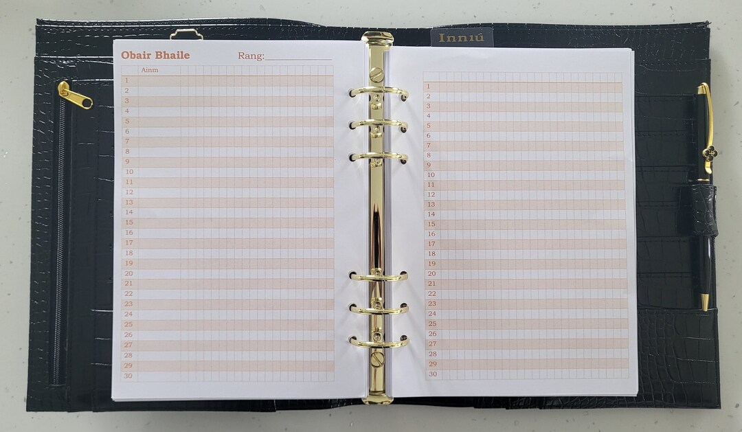 Homework Tracker ; A5 Printed Teacher Insert (english or Gaeilge) - Etsy