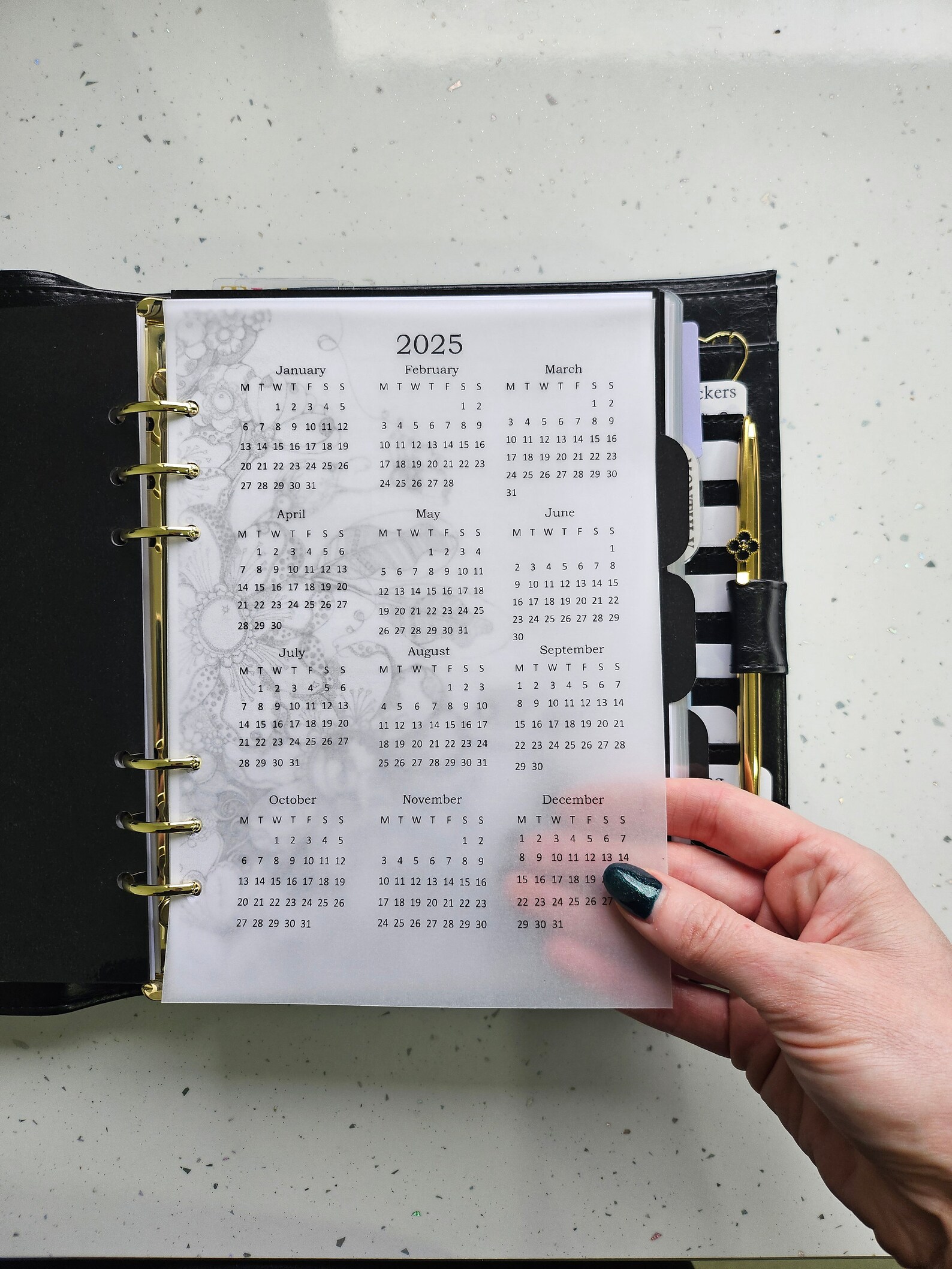 2025 Vellum Calendar Insert - Etsy