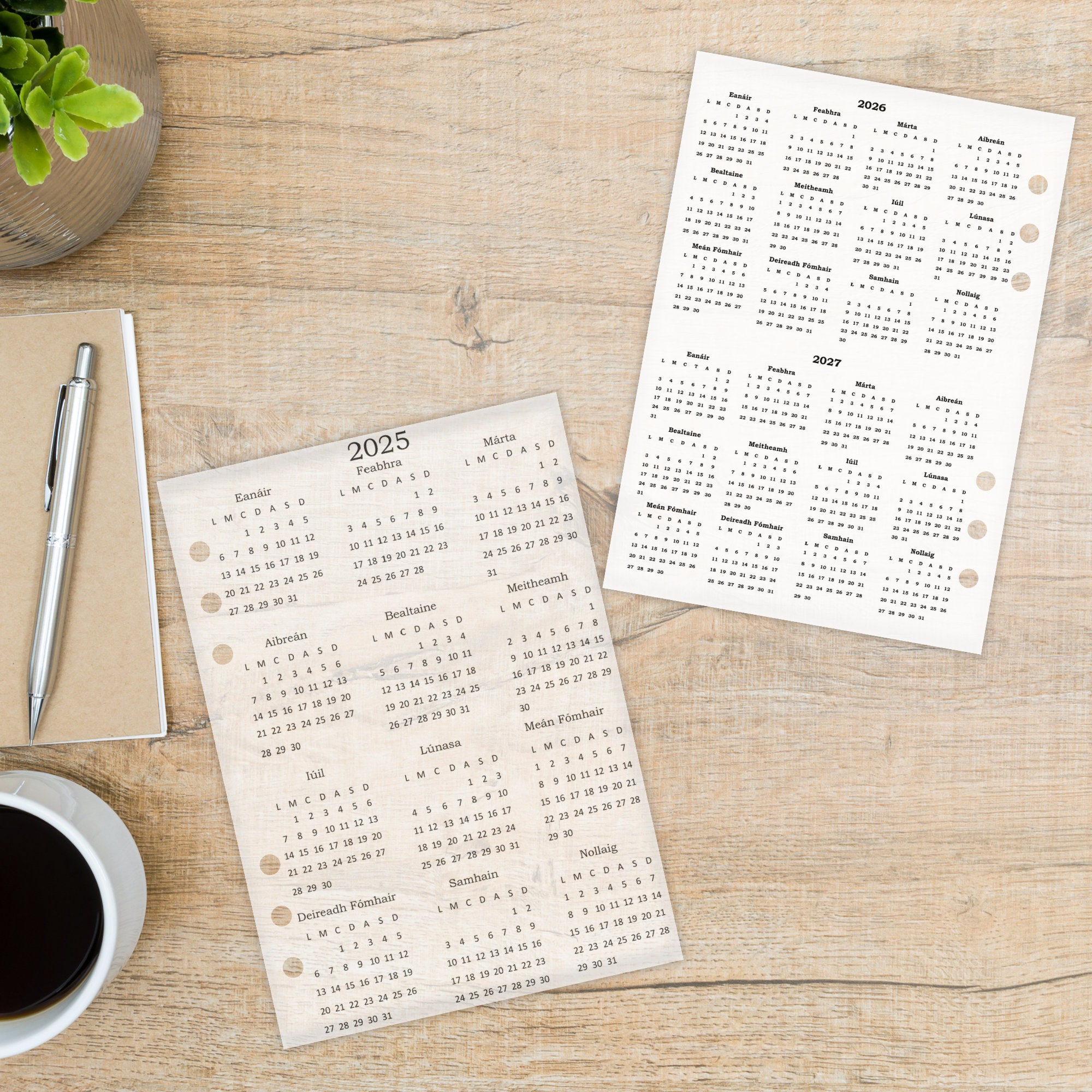 2025 Vellum Calendar Insert - Etsy