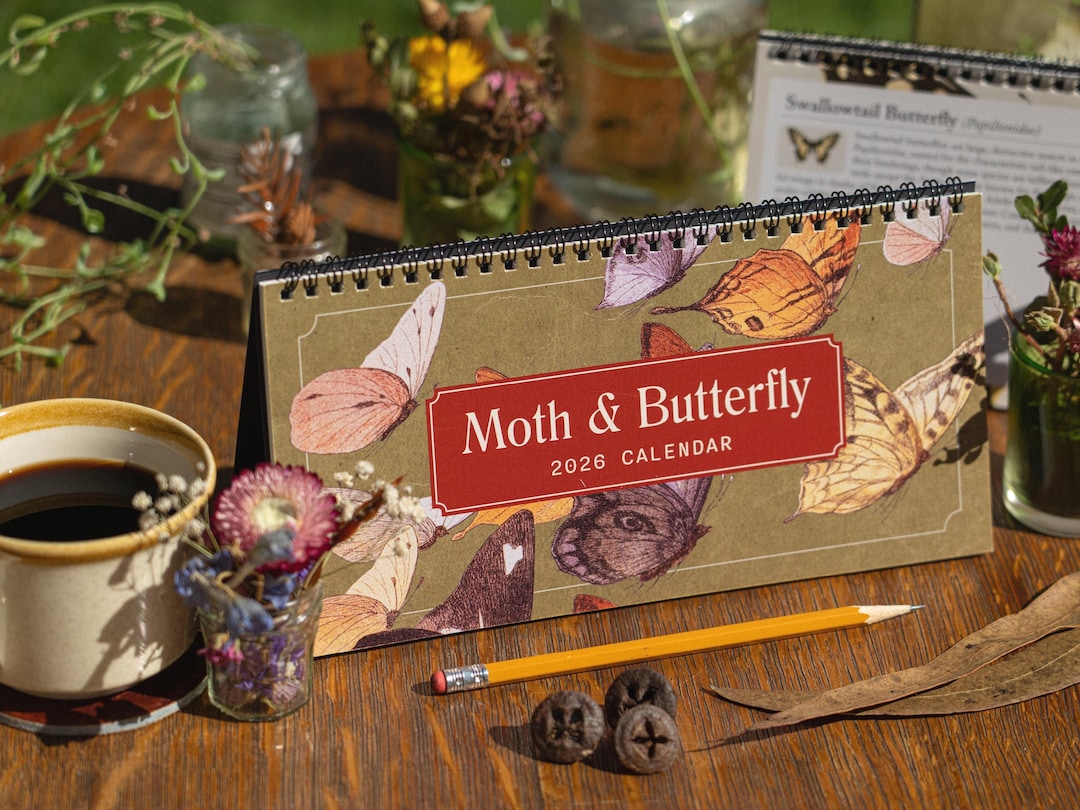 2026 Butterfly & Moth Desk Calendar Unique Nature Gift for Her or Him ...