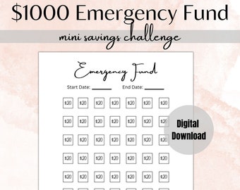 500 Dollar Mini Emergency Fund Savings Challenge Printable, Savings ...