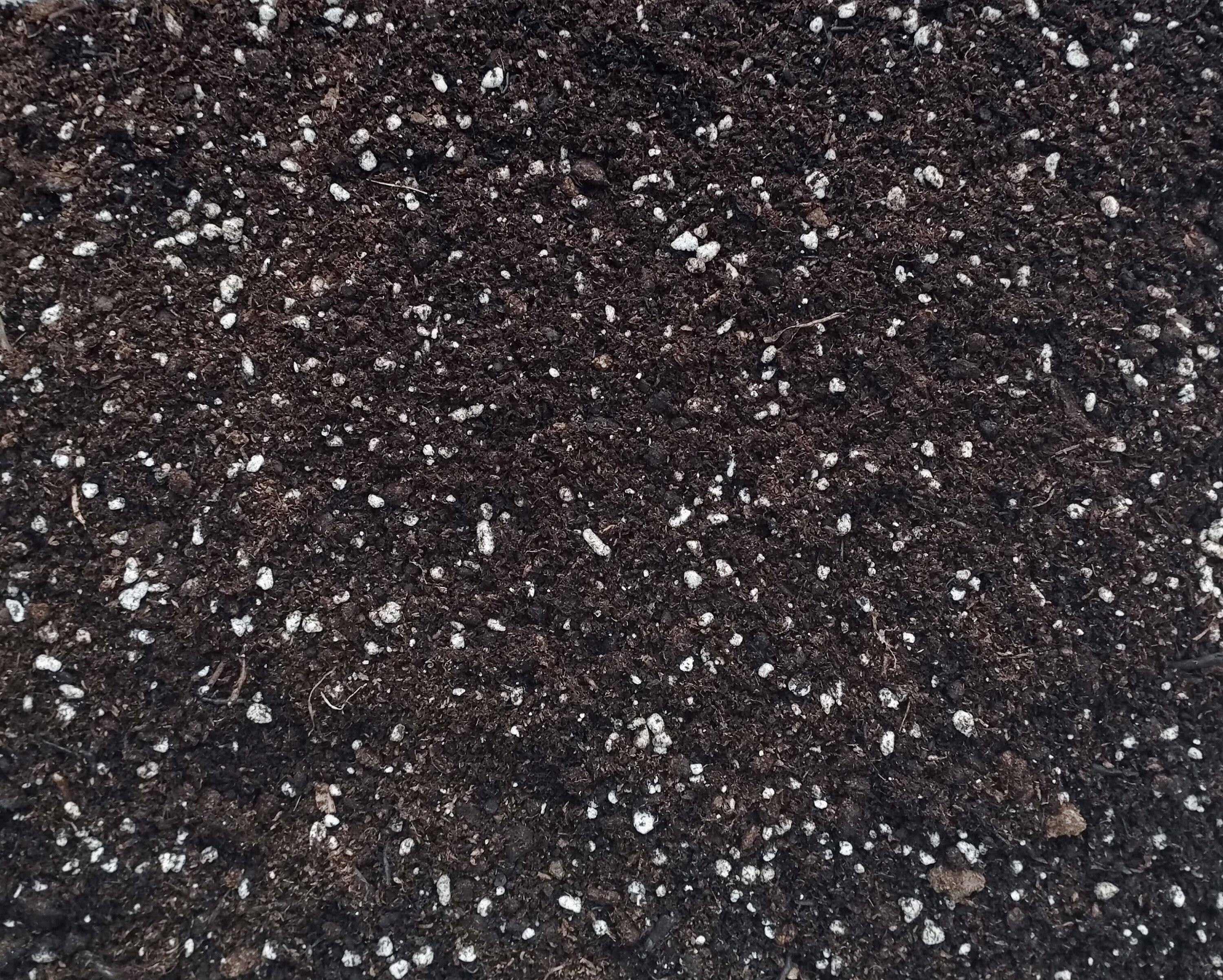 4L - Premium Carnivorous Plant Soil Compost - Washed Perlite & Irish ...