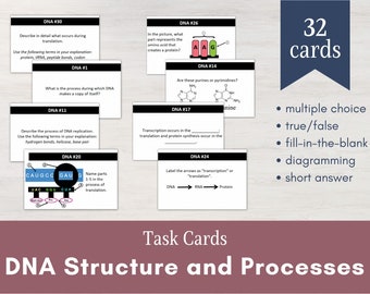 Periodic Table Organization and Trends Inquiry (Download Now) - Etsy