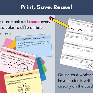 Cell Transport Review Task Cards | Biology Activity | Middle and High ...