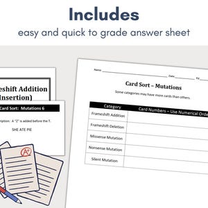 Genetic Mutations Card Sorting Activity | Easy Prep Borderless Printing ...