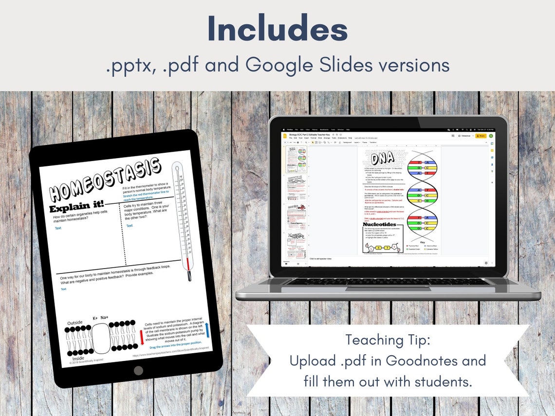 Biology Doodle Notes Review | End of Course | 23 Pages of Questions and ...