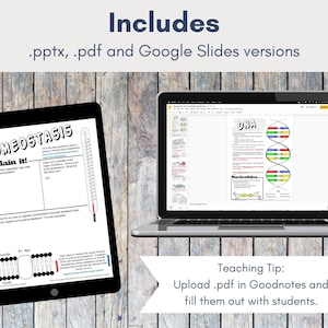Biology Doodle Notes Review | High School Study Guide (PDF) - Etsy