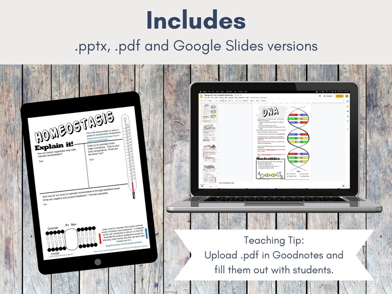Biology Doodle Notes Review | End of Course | 23 Pages of Questions and ...