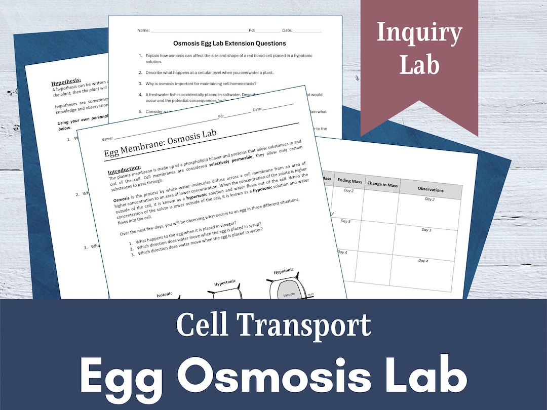 Cellular Transport Egg Osmosis Lab Printable and Digital Biology and ...