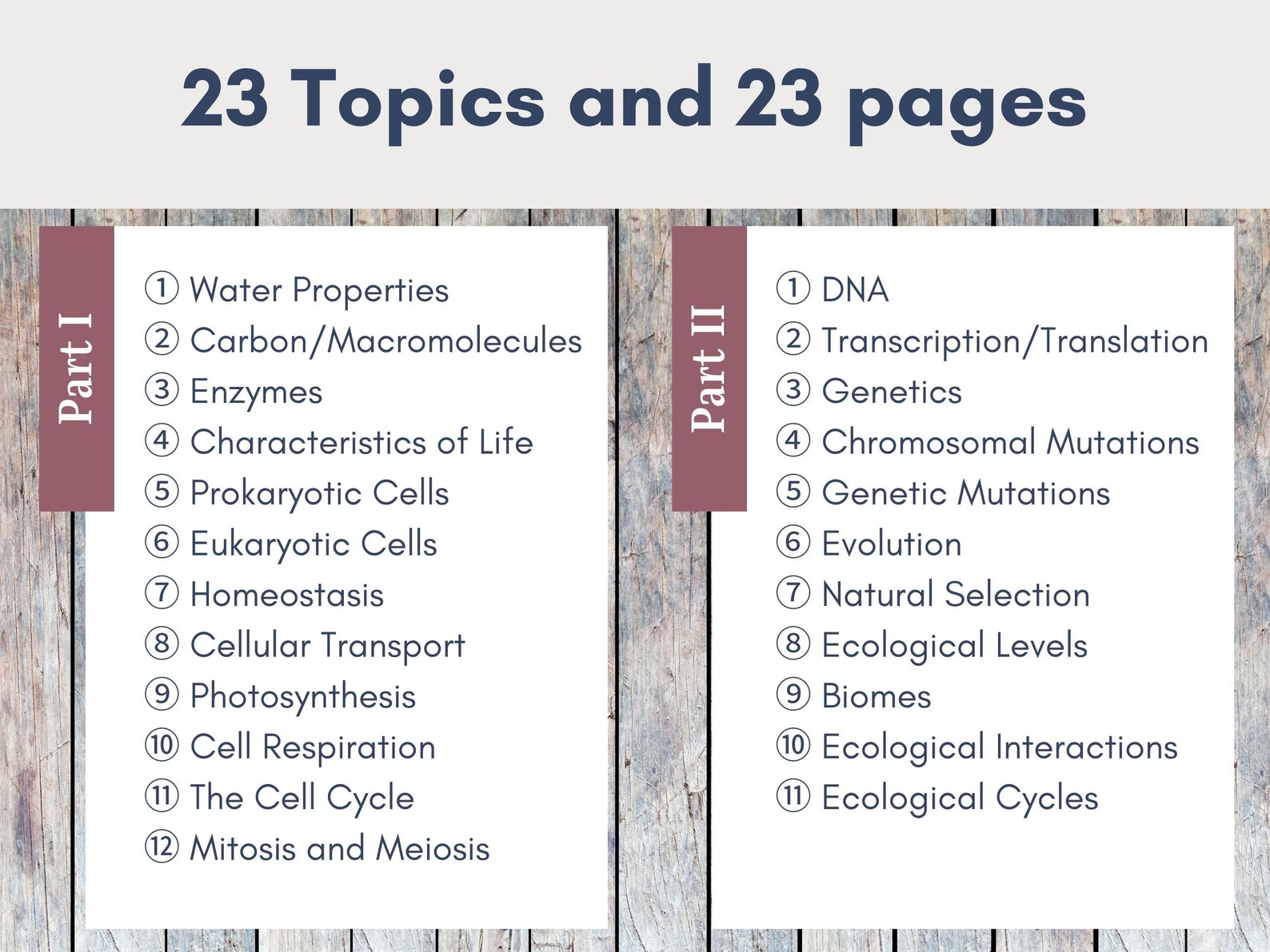 Biology Doodle Notes Review | End of Course | 23 Pages of Questions and ...