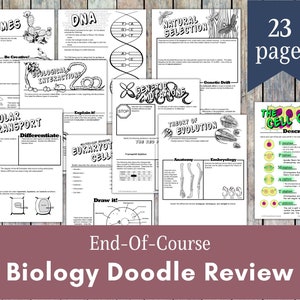 Biology Doodle Notes Review End of Course 23 Pages of Questions and ...