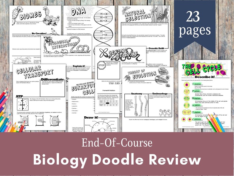 Biology Doodle Notes Review End of Course 23 Pages of Questions and ...