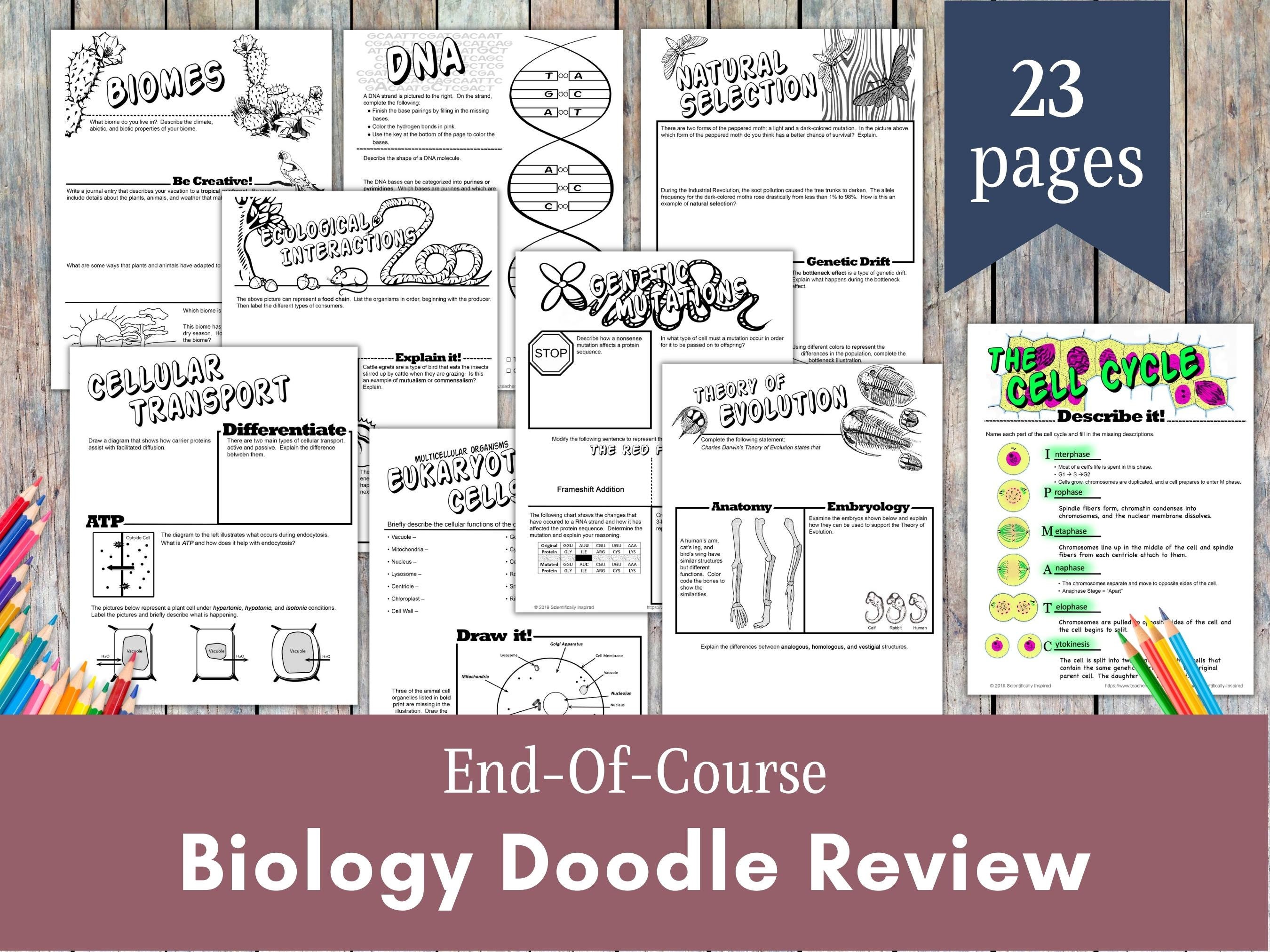 Biology Doodle Notes Review End of Course 23 Pages of Questions and ...