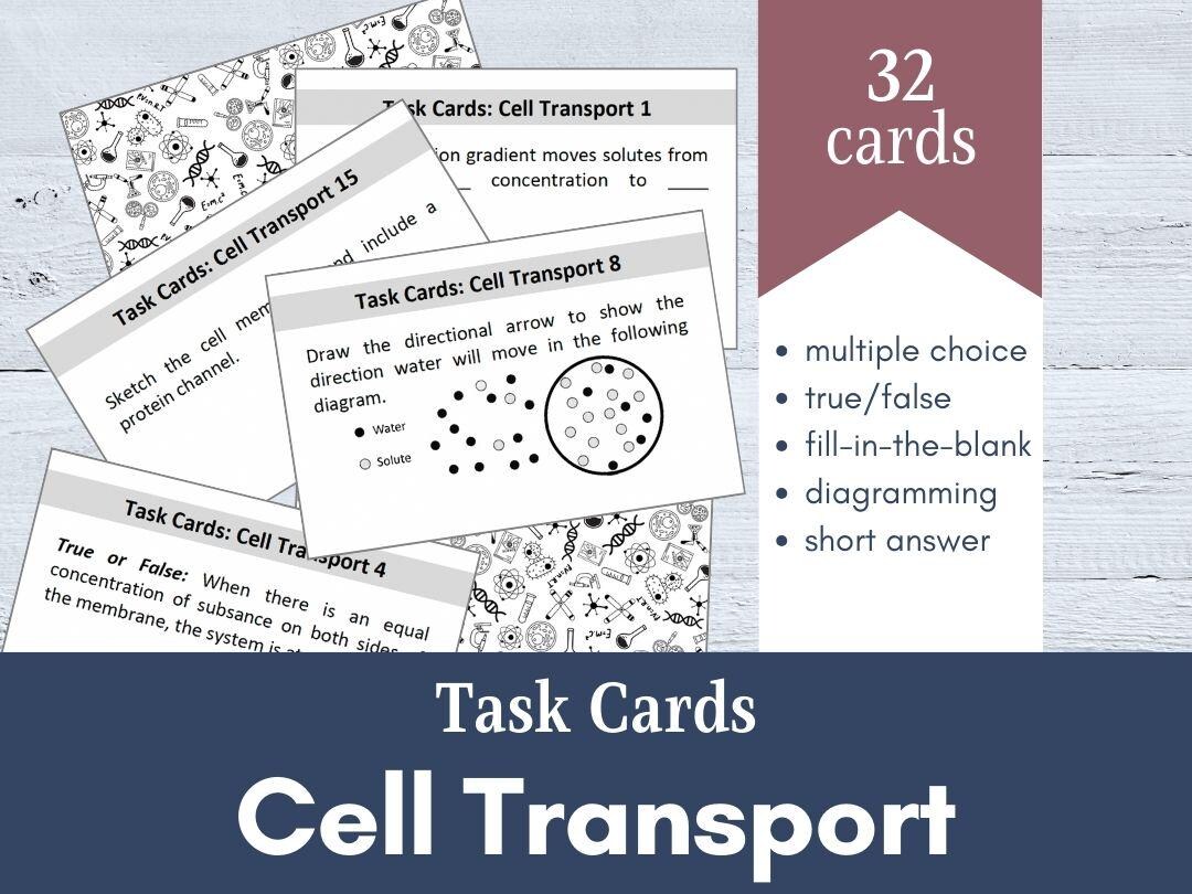 Cell Transport Review Task Cards | Biology Activity | Middle and High ...