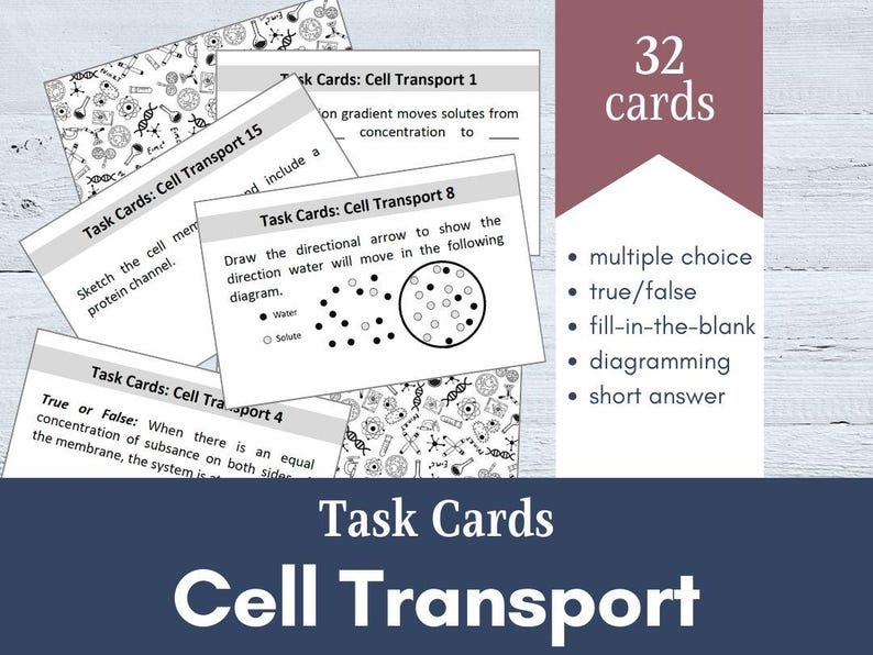 Cell Transport Review Task Cards | Biology Activity | Middle and High ...