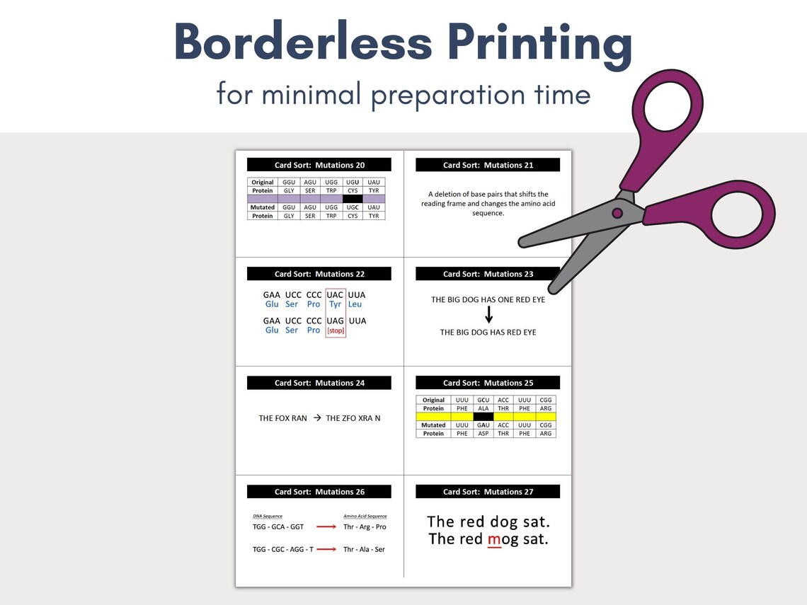 Genetic Mutations Card Sorting Activity | Easy Prep Borderless Printing ...