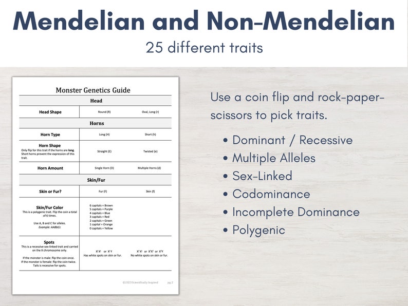 Genetics Activity on Inheritance | Make a Monster Baby Heredity ...