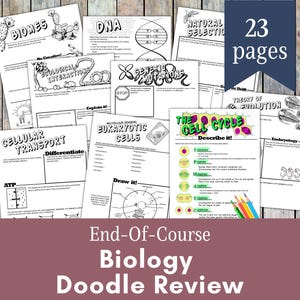 Biology Doodle Notes Review | End of Course | 23 Pages of Questions and ...
