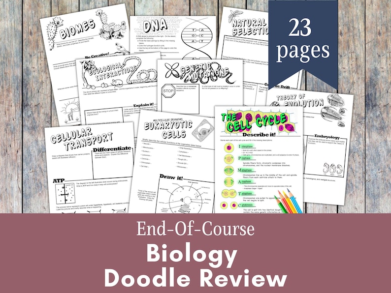 Biology Doodle Notes Review | End of Course | 23 Pages of Questions and ...