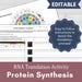 Protein Synthesis Translation Worksheet | Printable and Digital | High ...