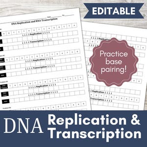 DNA Replication and Transcription Worksheet Activity | Practice Base ...