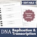 DNA Replication and Transcription Worksheet | Biology Practice (PDF and ...