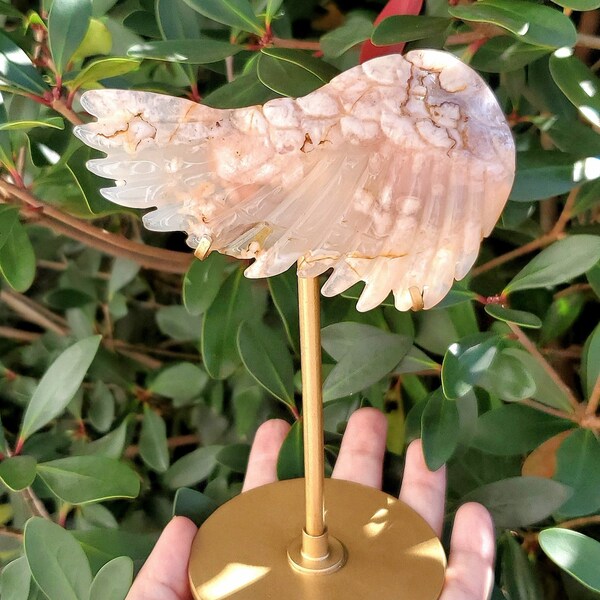 Pink Angel Wing - Etsy