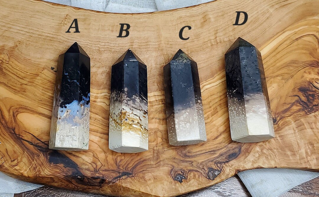 YOU PICK | Petrified Palm Tree Root Towers | Petrified Wood | Crystal ...