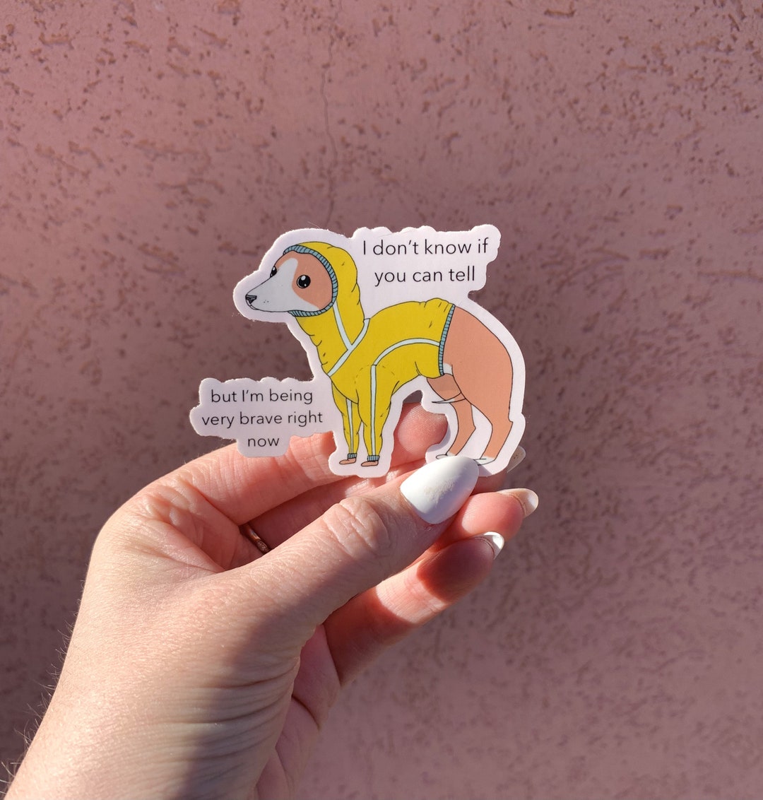 IDK If You Can Tell but I'm Brave Mental Health Sticker - Etsy