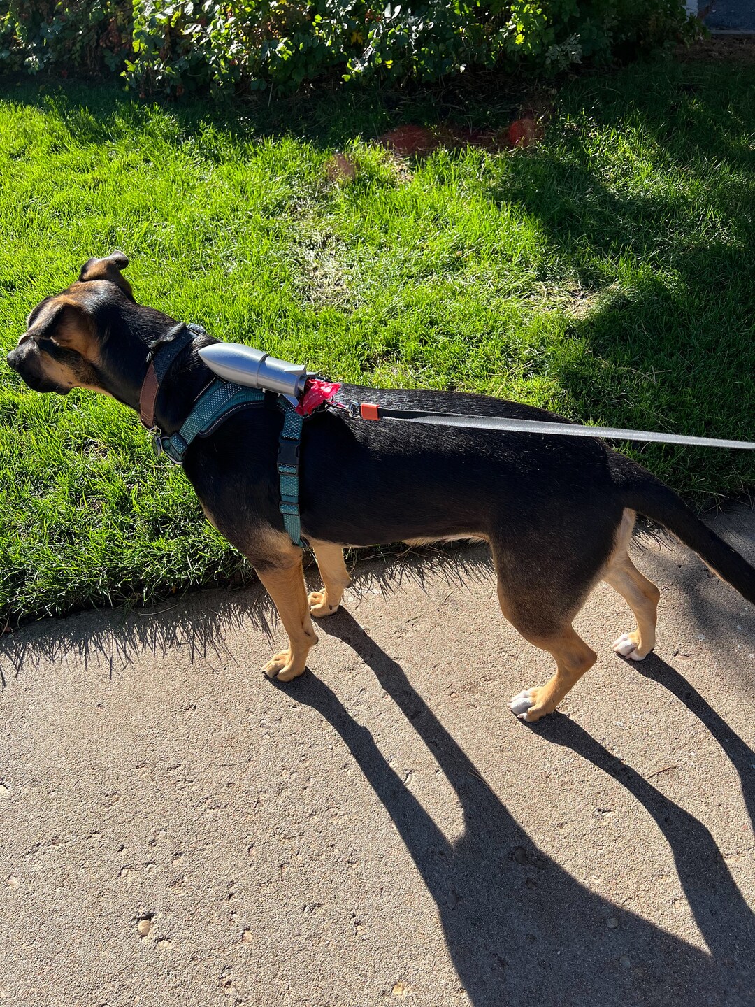 Large Rocket Poop Bag Dispenser With Earth Rated Bags - Etsy