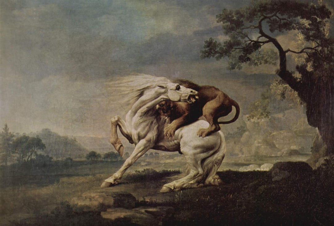 Stubbs, George Lion Attacking a Horse - Etsy