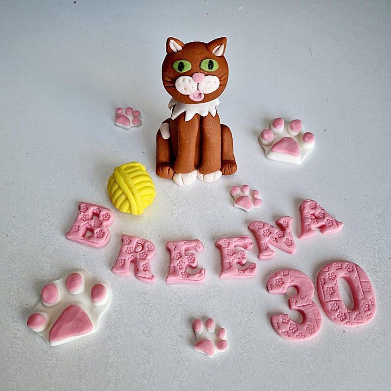 Edible Cat,dog Cake Topper,fondant Icing Decoration - Etsy UK