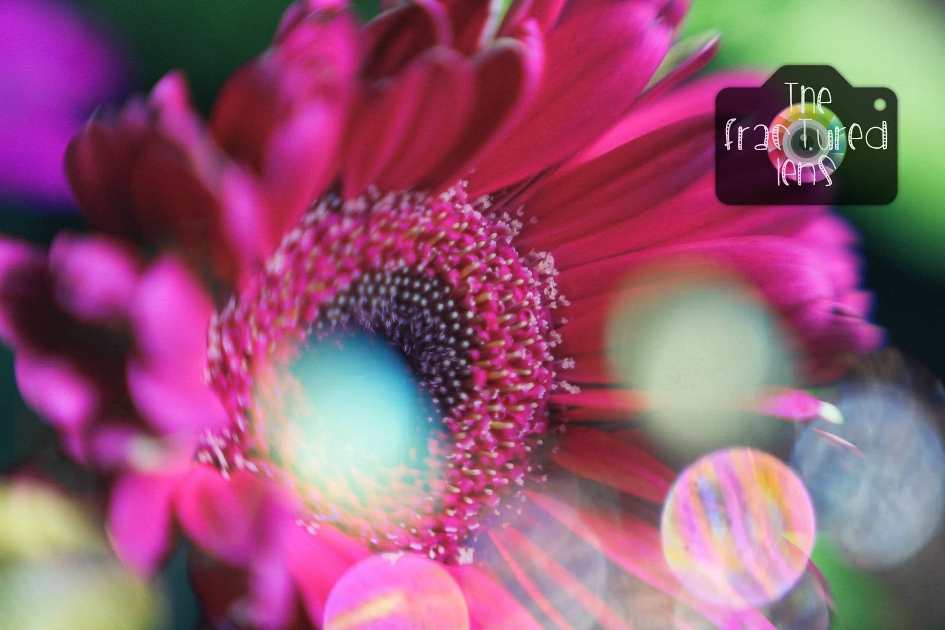 Prism Bokeh Overlay Photography Overlay Color Overlay Colored Bokeh ...