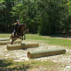 Bridleless Bit and Reins - Etsy