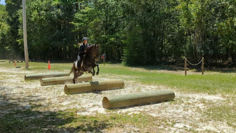 Bridleless Bit and Reins - Etsy