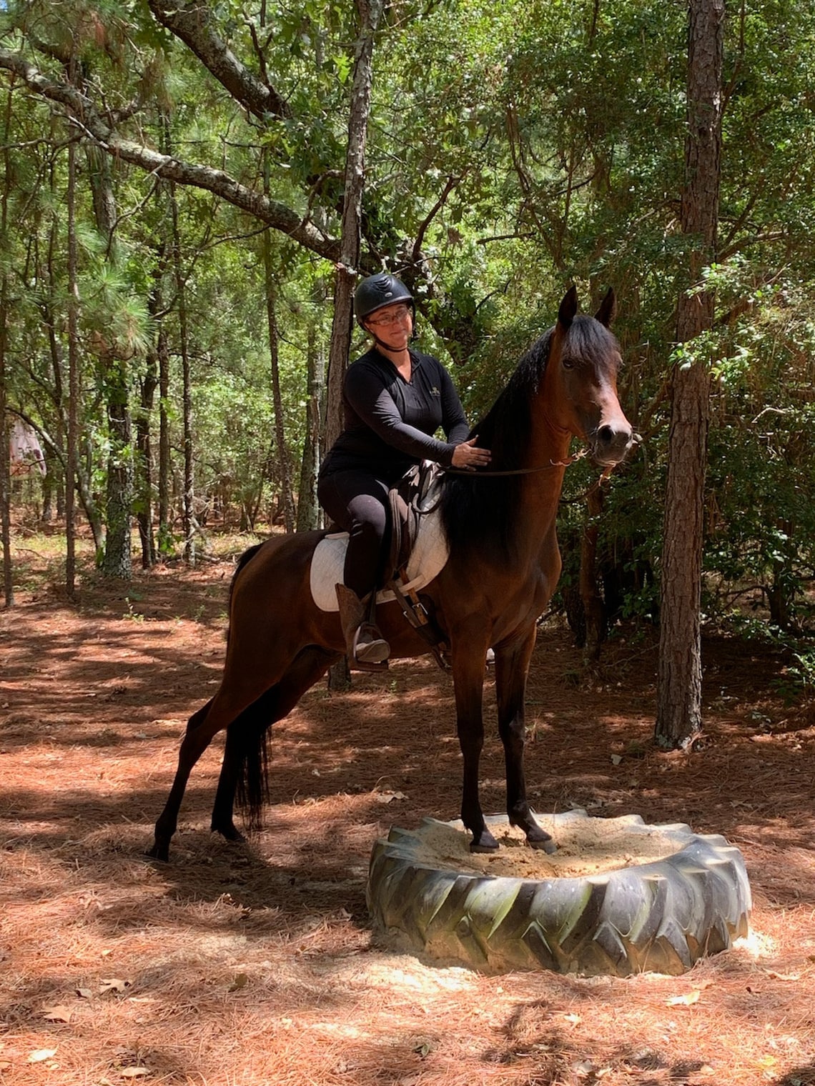 Bridleless Bit and Reins - Etsy