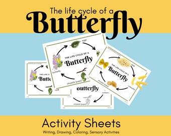 Life Cycle of a blue Morpho Butterfly Clip Art Set - Etsy