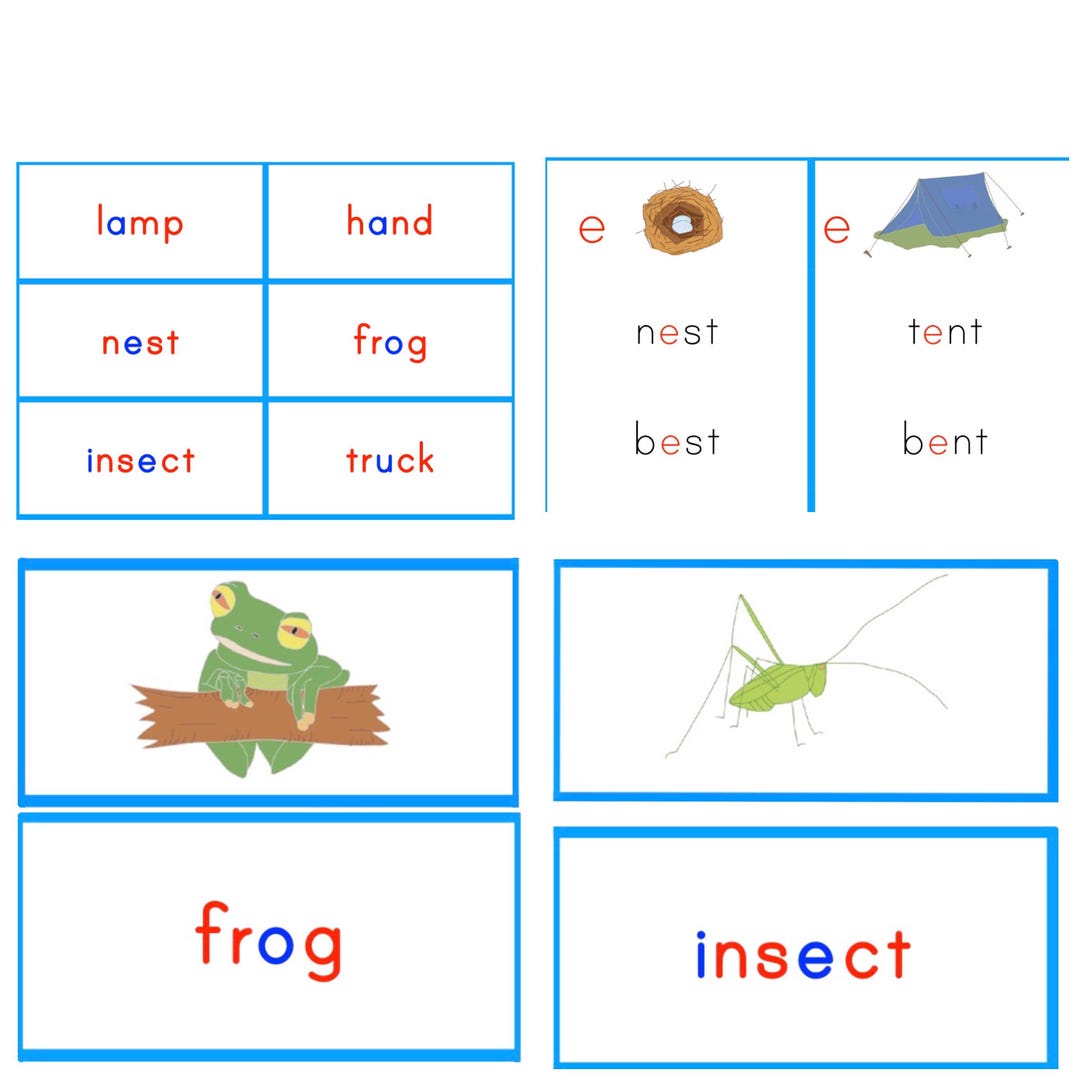 Montessori Blue Series Reading Activities in Print Clearly Font - Etsy