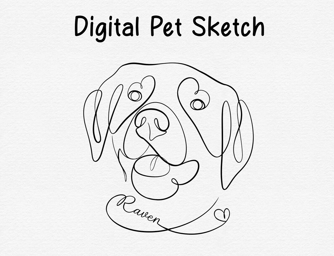 Custom Pet Line Drawing, Pet Sketch From Photo, Simple Pet Sketch ...