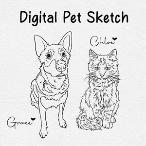 Custom Pet Line Drawing, Digital Pet Outline, Custom Pet Outline ...