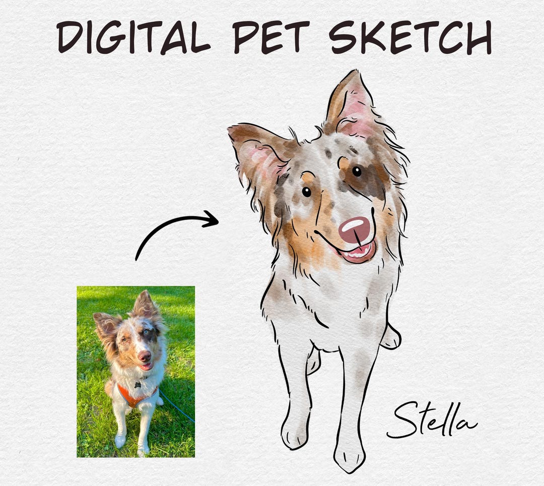 Custom Pet Watercolor Art Drawing, Pet Watercolor From Photo, Simple ...