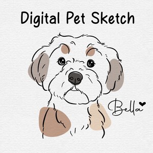 Custom Pet Line Drawing, Digital Pet Outline, Custom Pet Outline ...